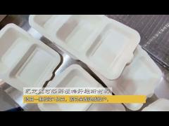 16cm Bagasse Biodegradable Disposable Utensils For Party Factory Wholesale