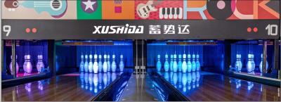 China Directly Supply Automatic Bowling String Pin Setter with Ball Weight 13-14 Ponds Male for sale