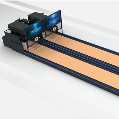중국 인적 볼링 레인 포트니스 운동 체질에 대한 볼링 핀을 설정 OEM에 의해 제조 판매용