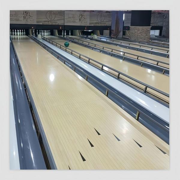 Quality Durable Entertainment Sports Bowling Arcade Game Mini Bowling Bumper 17m for sale