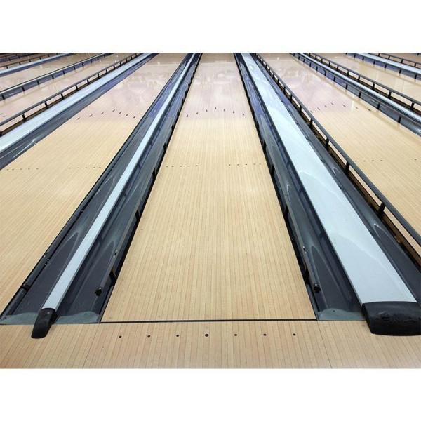 Quality Durable Entertainment Sports Bowling Arcade Game Mini Bowling Bumper 17m for sale