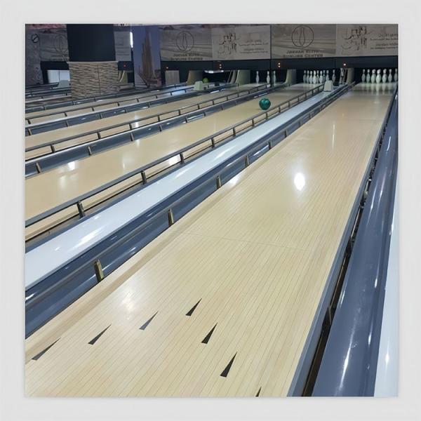 Quality Durable Entertainment Sports Bowling Arcade Game Mini Bowling Bumper 17m for sale