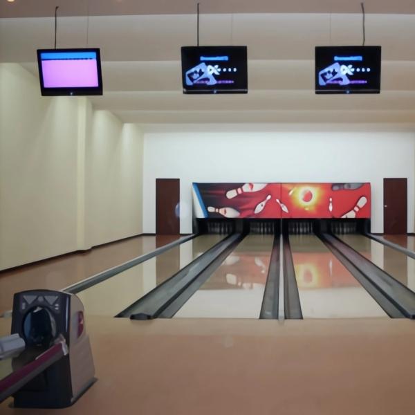 Quality Bowling Lane Machine for OEM Acceptance and Metal Entertainment Equipment for sale