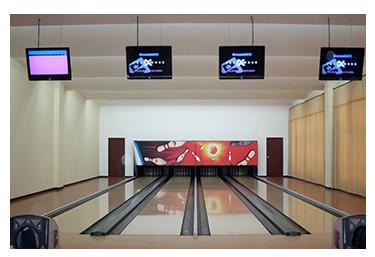 Quality Bowling Lane Machine for OEM Acceptance and Metal Entertainment Equipment for sale