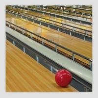 China Stylish Design Bowling Machine Bowling Bumper Easy Maintenance for sale