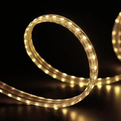 Cina Alta luminosità all'aperto a prova d'acqua LED Strip Light 10M / 50M / 100M per il corpo di esercizio fisico in vendita