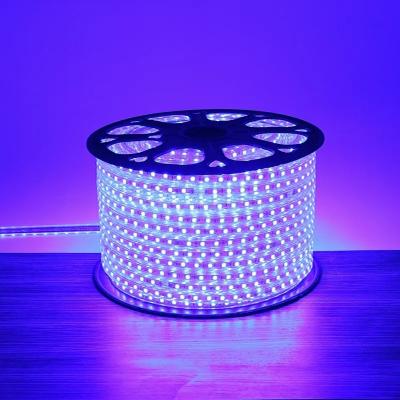 China Grey PVC 220V Multicolor 60 Led/M Rgb 5050 Smd Waterproof Led Strip Light with Good for sale