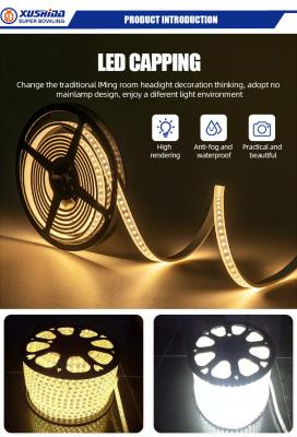 Cina Lumi a corda ad alta tensione grigie flessibili a LED luce decorativa tubo in PVC luce a strisce a LED integrata in vendita