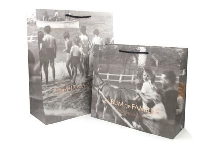 Китай Представьте персонализированные бумажные мешки/напечатанную офсетную печать бумажных сумок продается