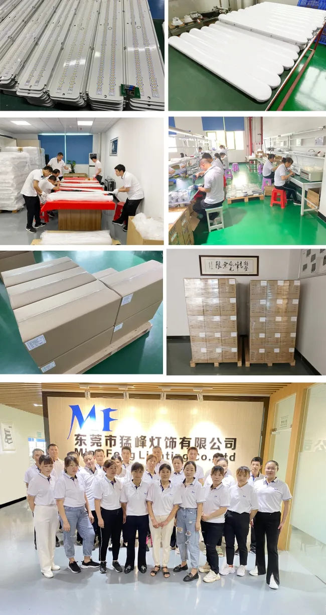 IP66 Ik08 2FT 4FT 5FT Waterproof Dustproof Robust Aluminum Linear Light 25W 35W 45W 50W 65W 75W LED Stainless Steel Waterproof Lamp LED Tri Proof Light