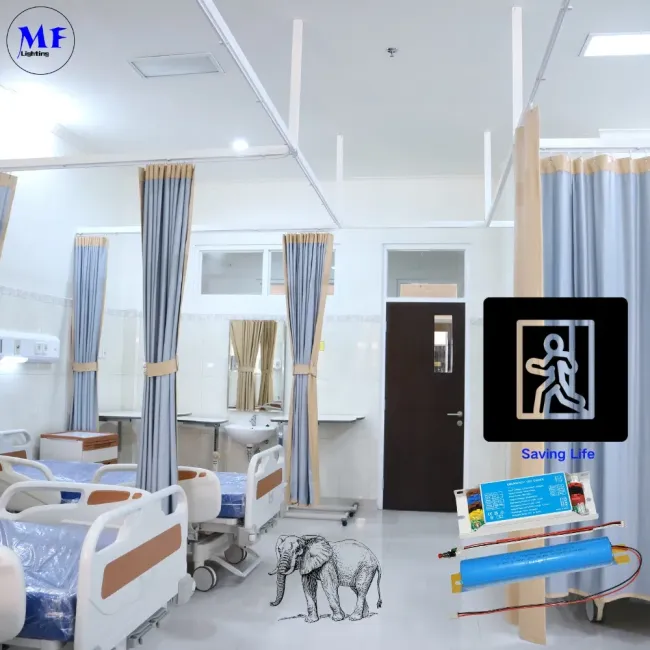 Factory Price LED Emergency Lighting Ballast Built-in 3-Hour Backup Panic Light Driver for Down Light Triproof Light Highbay Light Tube Light Flood Light