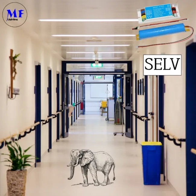 Factory Price LED Emergency Lighting Ballast Built-in 3-Hour Backup Panic Light Driver for Down Light Triproof Light Highbay Light Tube Light Flood Light