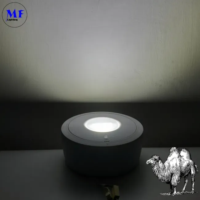 16+ Years Factory IP43 8W 2h Battery Rechargeable Public School Hospital Shopping Workshop Mall Spot Light LED Panic Emergency Escape Exit Sign Light