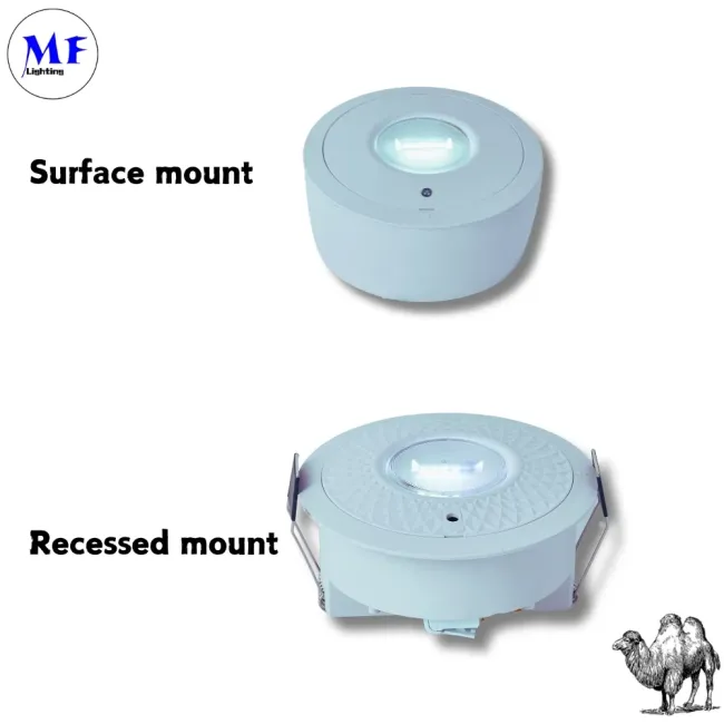 16+ Years Factory IP43 8W 2h Battery Rechargeable Public School Hospital Shopping Workshop Mall Spot Light LED Panic Emergency Escape Exit Sign Light