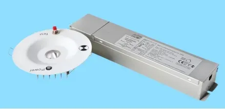 16+ Years Factory IP43 8W 2h Battery Rechargeable Public School Hospital Shopping Workshop Mall Spot Light LED Panic Emergency Escape Exit Sign Light
