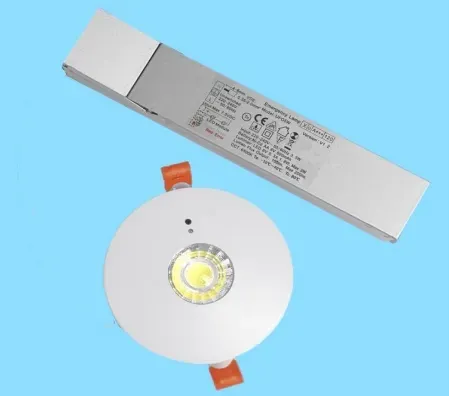 16+ Years Factory IP43 8W 2h Battery Rechargeable Public School Hospital Shopping Workshop Mall Spot Light LED Panic Emergency Escape Exit Sign Light