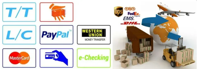 16+ Years Factory IP43 8W 2h Battery Rechargeable Public School Hospital Shopping Workshop Mall Spot Light LED Panic Emergency Escape Exit Sign Light