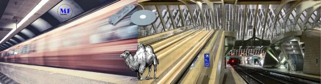 16+ Years Factory 3h IP65 Battery Backup Rechargeable Public School Hospital Shopping Workshop Mall Down Light Panic Emergency Escape Exit Sign Light