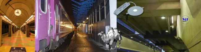 16+ Years Factory 3h IP65 Battery Backup Rechargeable Public School Hospital Shopping Workshop Mall Down Light Panic Emergency Escape Exit Sign Light