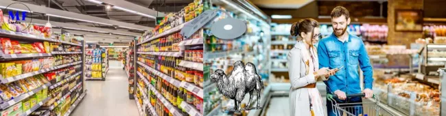 16+ Years Factory 3h IP65 Battery Backup Rechargeable Public School Hospital Shopping Workshop Mall Down Light Panic Emergency Escape Exit Sign Light