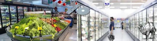 16+ Years Factory 3h IP65 Battery Backup Rechargeable Public School Hospital Shopping Workshop Mall Down Light Panic Emergency Escape Exit Sign Light