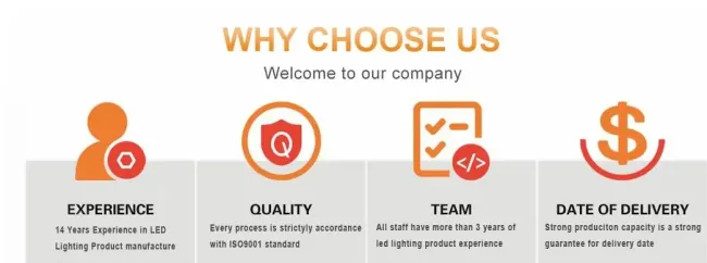 Factory Price UV ND Zoomable Extended IP65 Ra97+ Contour Spot Shaping Framing Gimbal Optical Lighting Exhibition Center LED Logo Gobo Projector Light