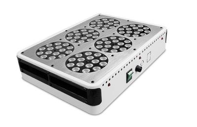 Cina La certificazione di ETL 210 watt ha personalizzato il rapporto 32 - luci progressive 45Vdc per le piante in vendita