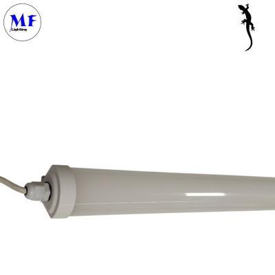 50W 내구성 LED 트리-프루프 라이트 IP66 3000K-6000K 산업 및 상업용 응용을위한 높은 조명 효율