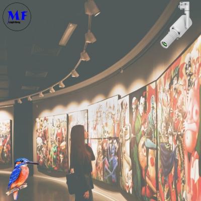 Cina 10W 28W LED formabile Track Spot Light Alta CRI con contorno magnetico Smart CCT DIP Dimming per Galleria d'arte Museo in vendita