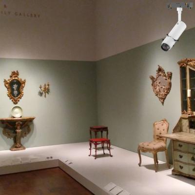 Cina 10W 28W LED formabile Track Spot Light Alta CRI con contorno magnetico Smart CCT DIP Dimming per Galleria d'arte Museo in vendita