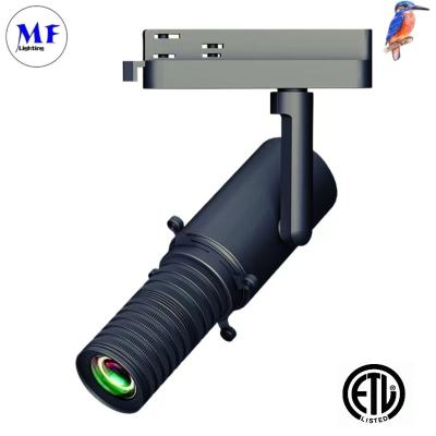 Cina 10W Shapable Magnetic Contour Spotlight Nero/bianco 2700K Ra>97 5 anni di garanzia Lampada per opere d'arte in vendita