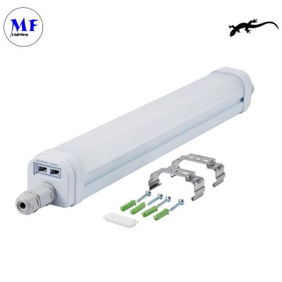 Cina IP66 54W 5 anni di garanzia facile da installare LED Tri-proof Light For Warehouse Supermarket in vendita