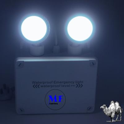 China Double Head Waterproof IP65 Outdoor Indoor Long Duration Time Rechargeable Non Maintained Rechargeable Battery Warmming Exit Sigh LED Emergency Light For Office for sale