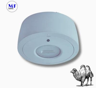 Китай Панель вниз Светодиодный панический экстренный выход сигнал свет IP65 батарея резервная зарядка общеобразовательная школа больница Белый продается