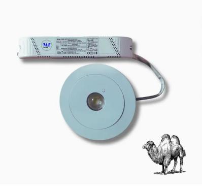 Cina Luce di emergenza di fuga di emergenza di emergenza di emergenza di emergenza di emergenza di emergenza di emergenza di emergenza di emergenza di emergenza di emergenza di emergenza di emergenza in vendita