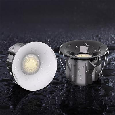 China IP65 Waterproof Spot Light: Anti Glare Die Cast Aluminum Recessed Down Light, Triac 0-10V Dali-2 Dali Dt6 Dt8 Dimmable Anti-Fog Bathroom Kitchen Ceiling Light for sale
