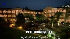 MF-DLT15 Downlight COB