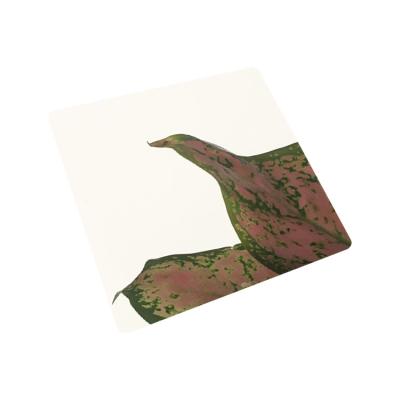 China Super Mirror Polished Stainless Steel Sheet Cut To Size Mirror Finish SS Sheet for sale