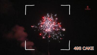 China Chino Liuyang 49 fuegos artificiales 2022 de las tortas del consumidor de los tiros en venta