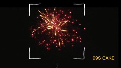 China Mandarin Pyrotechnics 99 Shot Consumer Cake Fireworks In Amazing Effect for sale