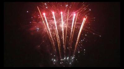 Cina 98 fuochi d'artificio pirotecnici del dolce del consumatore del petardo del nuovo anno dei colpi hanno personalizzato in vendita
