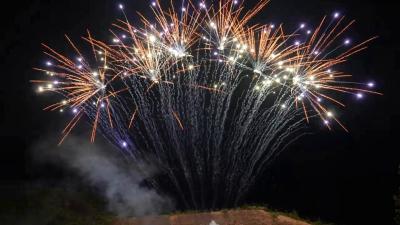 Cina Pirotecnica del mandarino 1.3g 13 fuochi d'artificio professionali di fila dei colpi singoli in vendita