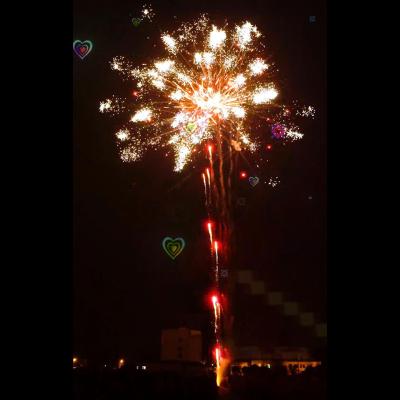 Cina I fuochi d'artificio della pirotecnica di Liuyang 196 effetti speciali professionali dei fuochi d'artificio del dolce dei colpi mostrano in vendita