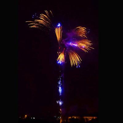 China 352 tiros modificaron los fuegos artificiales del Año Nuevo para requisitos particulares que los petardos grandes pirotécnicas apelmazan los petardos para la celebración en venta