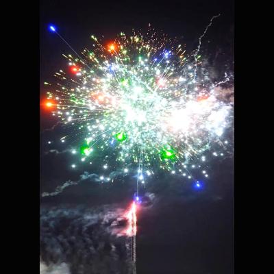 中国 中国人2inch 49の打撃のPyrotechnicケーキの花火は新年の花火をカスタマイズした 販売のため