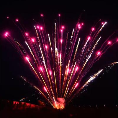 Cina Fuochi d'artificio Liuyang Fuochi d'artificio pirotecnica pasticceria per professionisti Fuochi d'artificio 1.3g in vendita