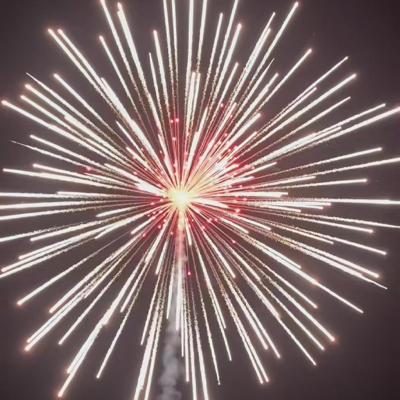 中国 中国のプロフェッショナル・花火 新年の祝賀 6インチボールディスプレイシェル 販売のため