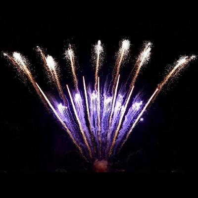 Cina Liuyang Fuochi d'artificio cinesi pirotecnica 78 colpi 1.3g torta fuochi d'artificio in vendita