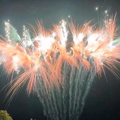 China Chinese cake vuurwerk Tipe Festival Viering Pyrotechniek Outdoor vuurwerk 2024 Te koop