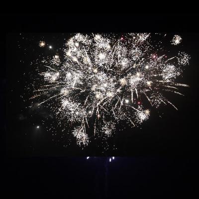 China Fuegos artificiales chinos Liuyang 46 disparos Fuegos artificiales de pastel de consumo en venta